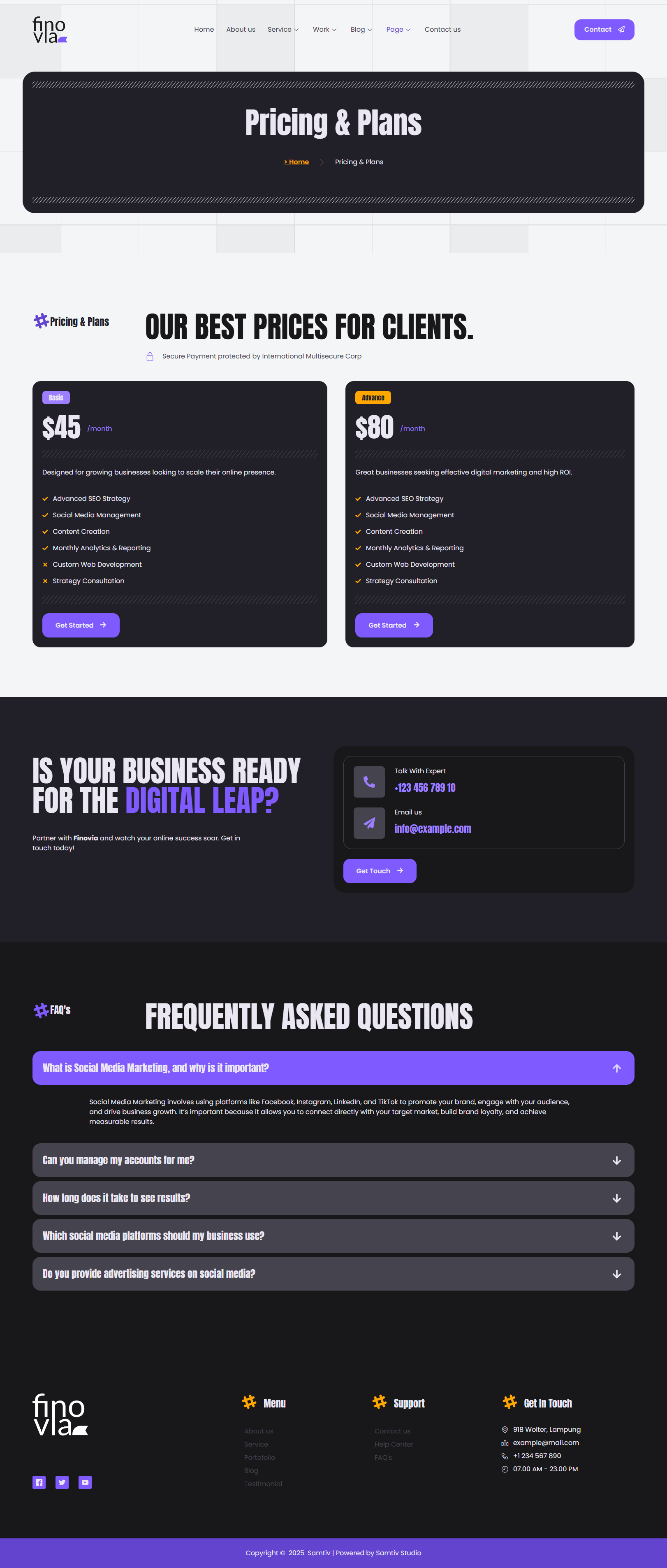 Finovia - Digital Marketing Agency Elementor Kit by Samtiv | ThemeForest